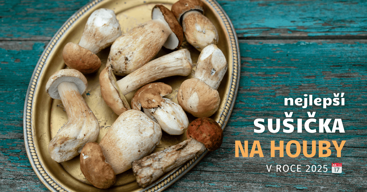Sušička na houby: Jak vybrat tu, která suší rychle a bez plísní? Radí odborníci s 30letou praxí ...